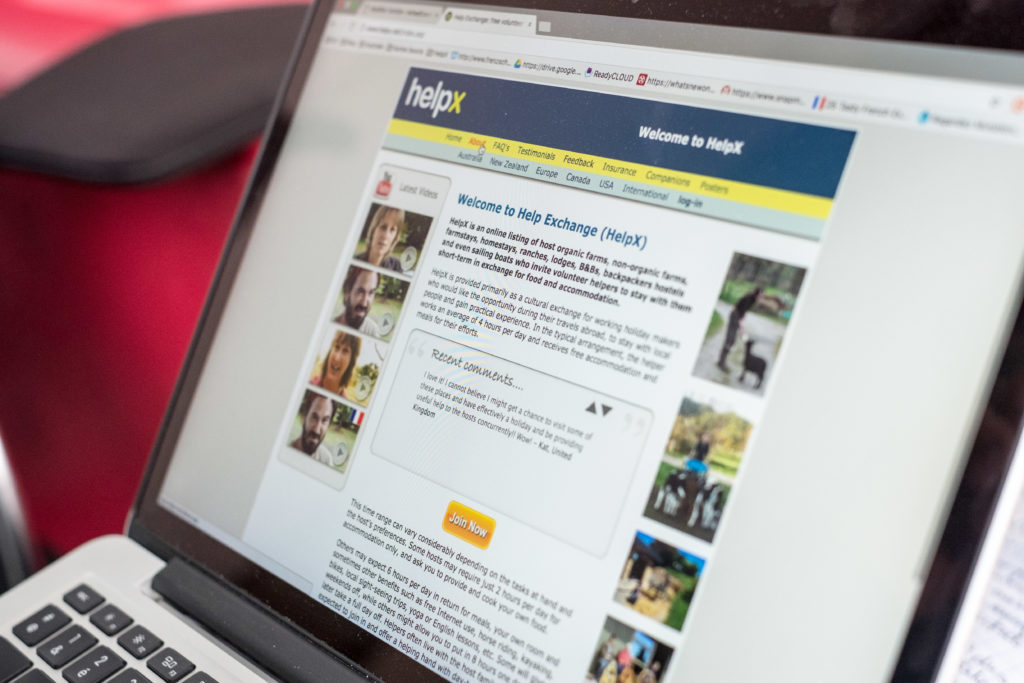 HelpX in New Zealand and disability - I wheel travel